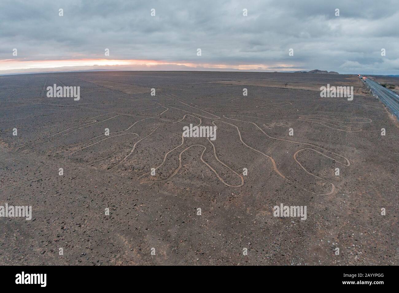 View of “The Tree” Nazca lines on the edge of the Panamerican highway ...