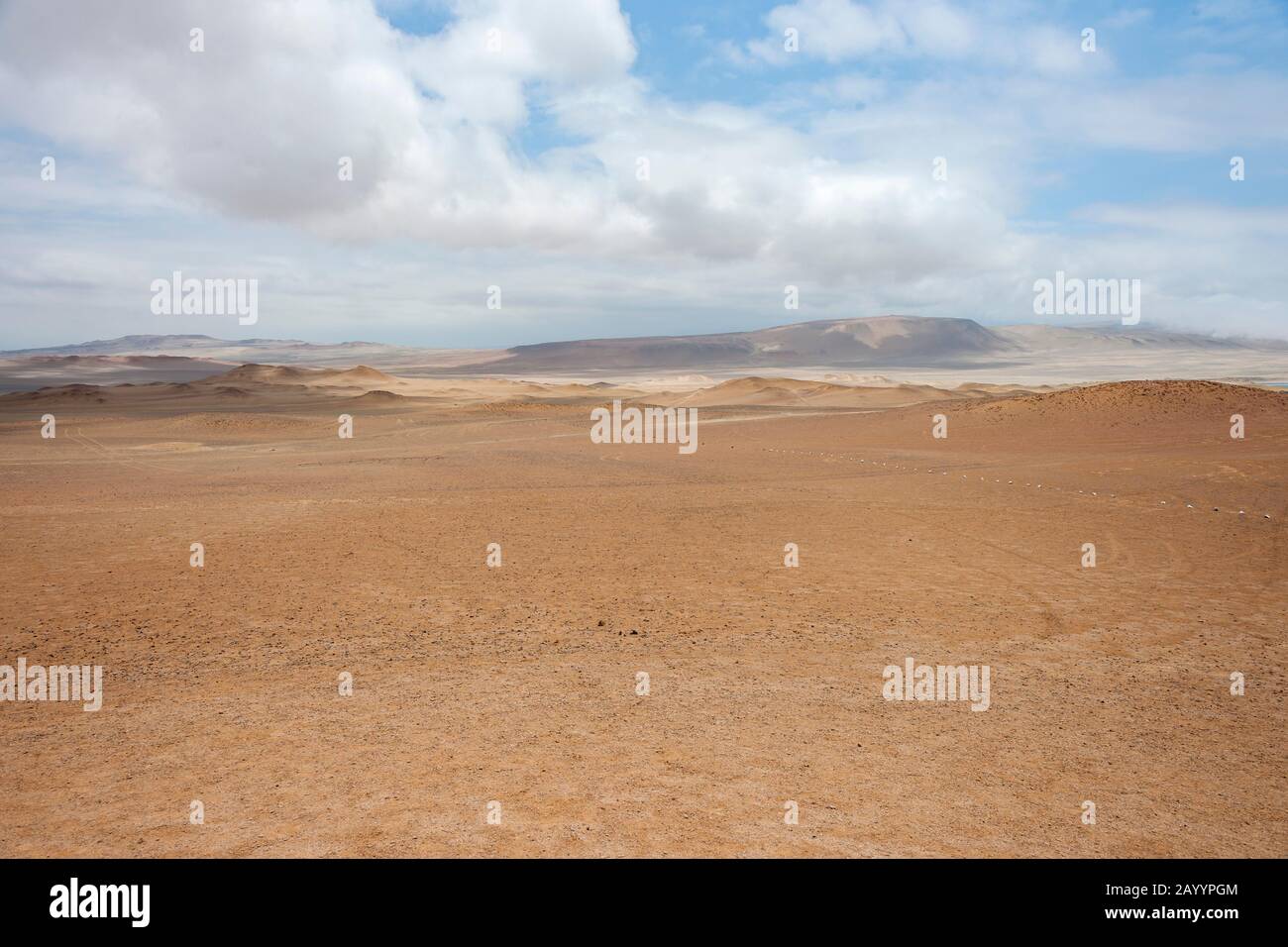 Paracas national park hi-res stock photography and images - Alamy