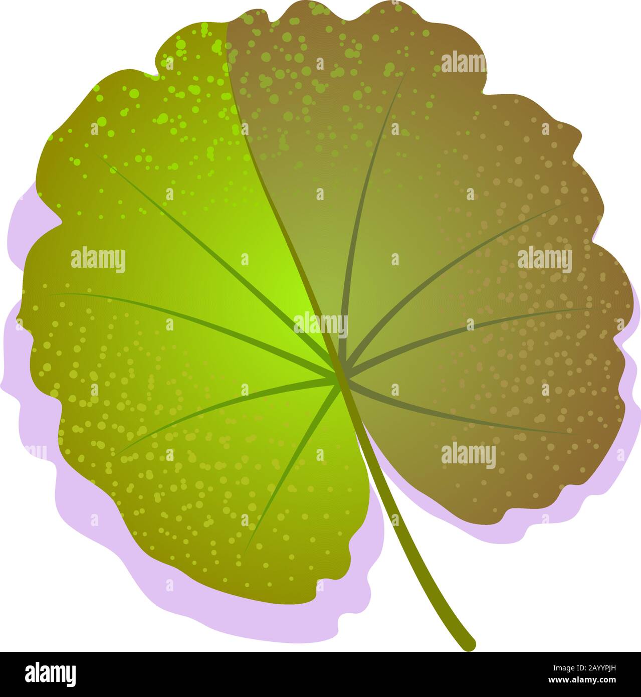 Stock symbol green round Stock Vector Images - Alamy