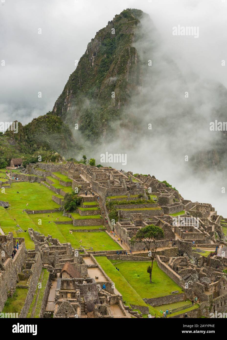 The ancient Inca city of Machu Picchu in Peru Stock Photo - Alamy