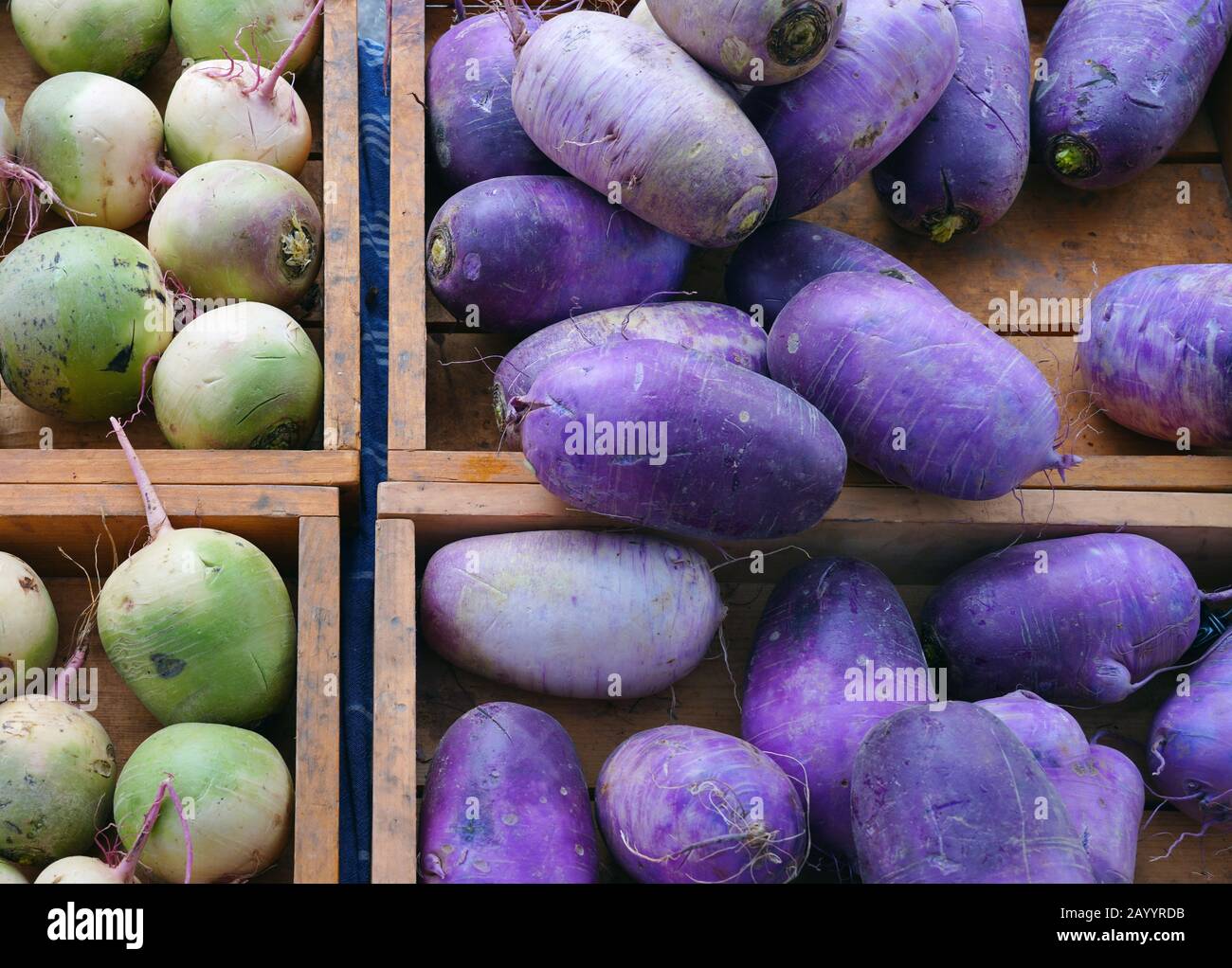 Crate of giant green and white watermelon winter radishes at a farmers ...