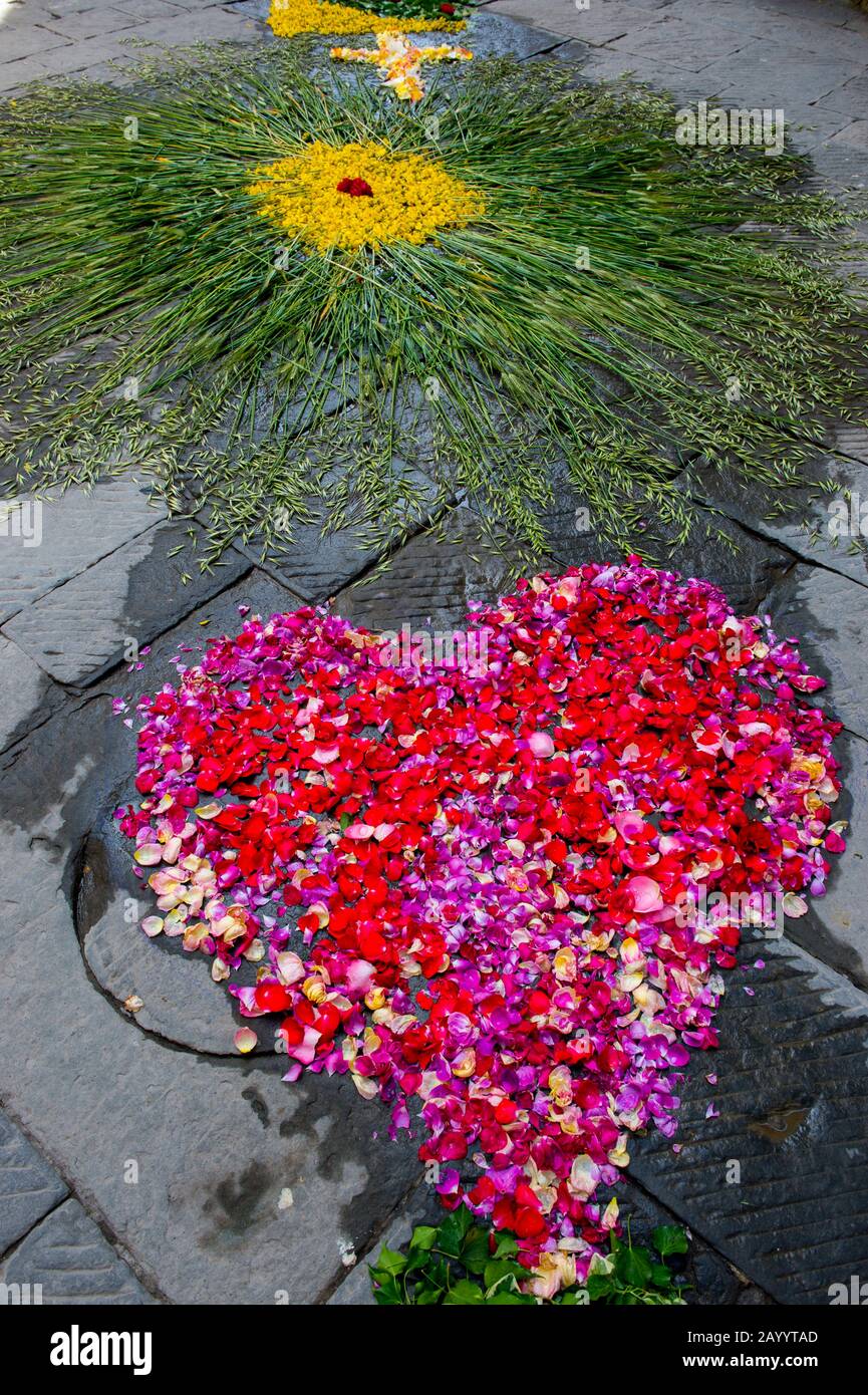 Close-up of flower motives on street decorated for the Corpus Christi ...