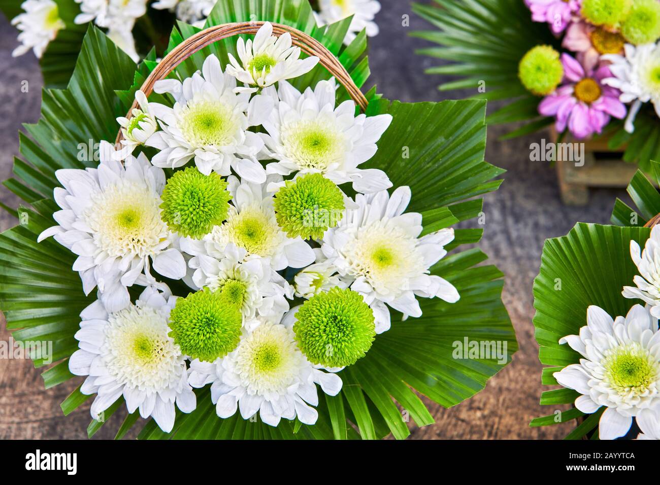 Close-up view of a bouquet of bright white and green flowers ...
