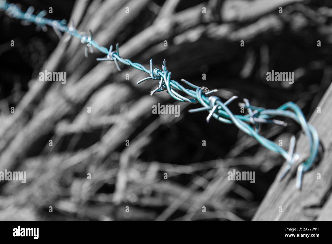 Old farm buildings, Wynyard, Teesside Stock Photo - Alamy
