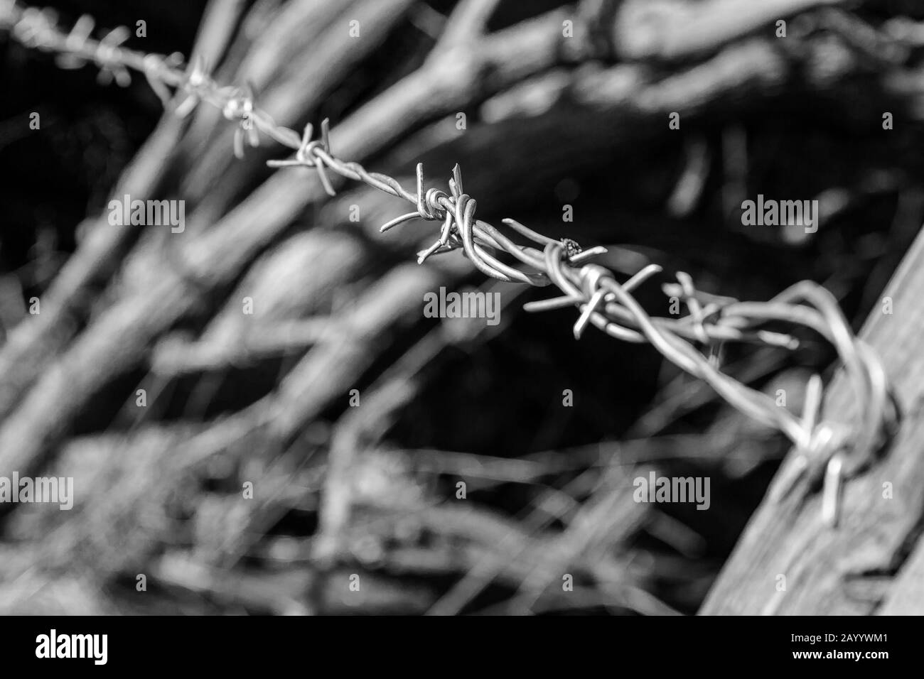 Old farm buildings, Wynyard, Teesside Stock Photo - Alamy