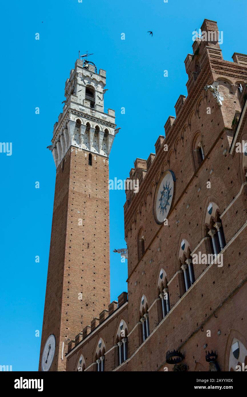 The Mangia Tower (Torre del Mangia), built in 1338-1348, on the Piazza ...