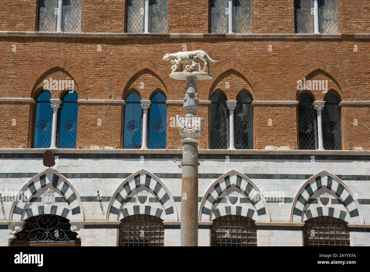 Lupa (Wolf) statues statue at the Siena Cathedral, the symbol of the ...