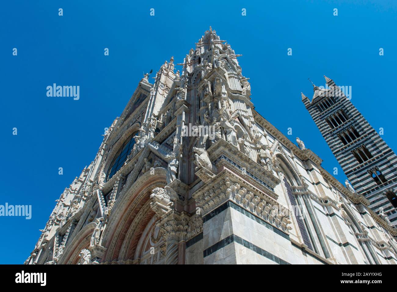 Detail of the Siena Cathedral di Santa Maria, better known as the Duomo ...