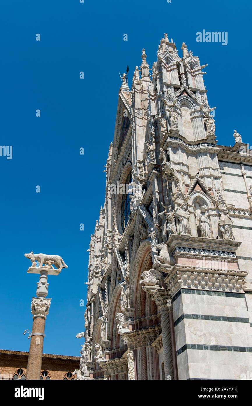 Detail of the Siena Cathedral di Santa Maria, better known as the Duomo ...