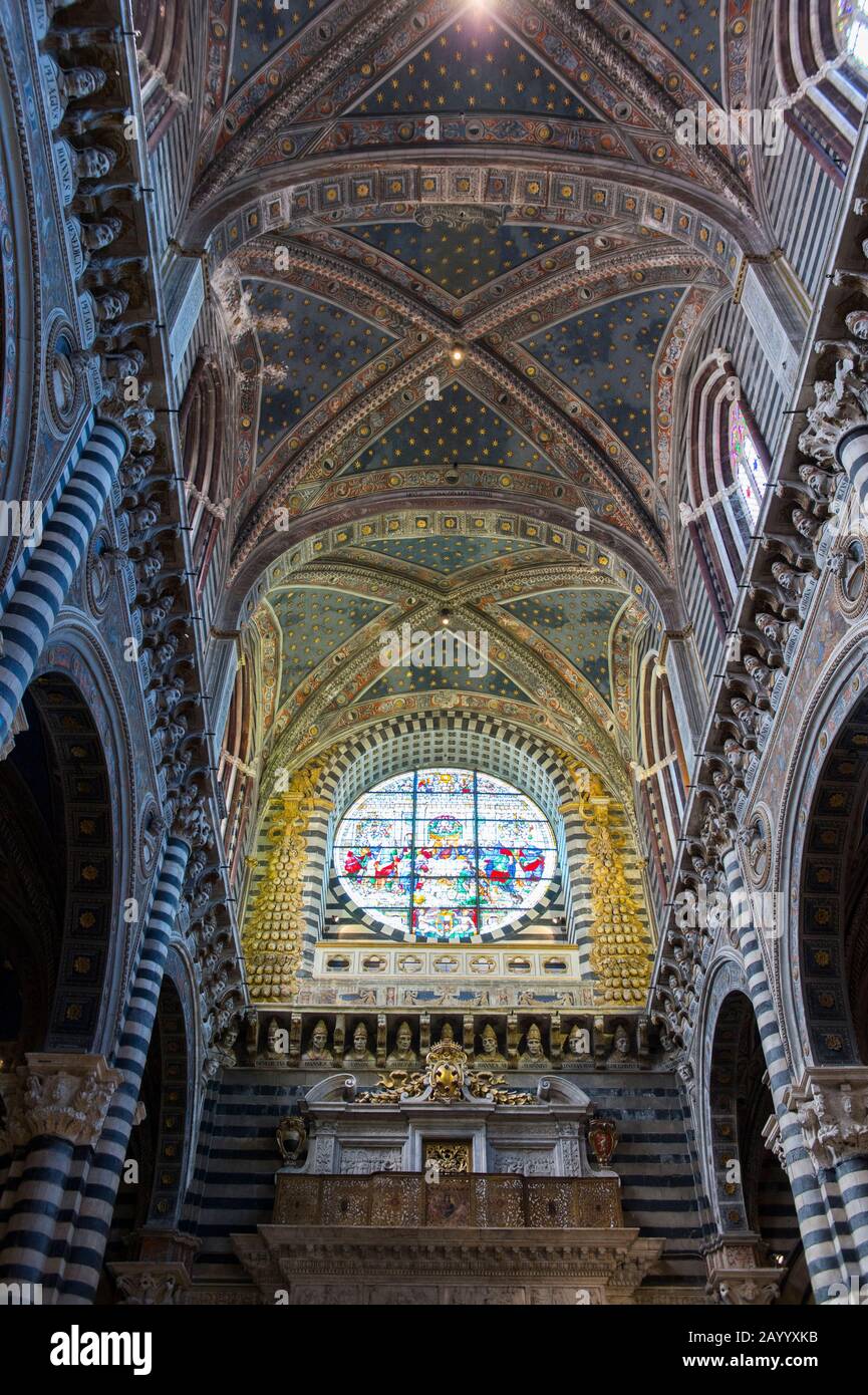 Interior with the rose window of the Siena Cathedral di Santa Maria ...