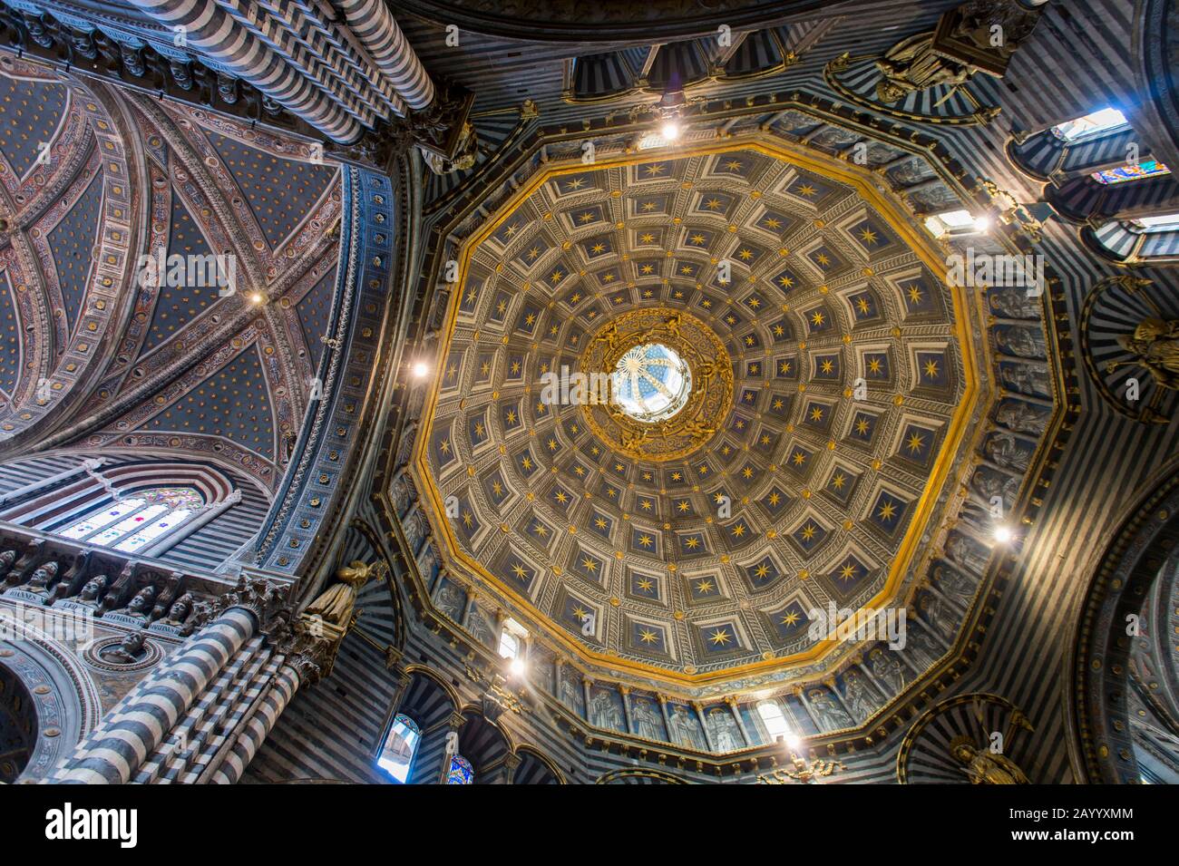 View of the dome in the interior of the Siena Cathedral di Santa Maria ...