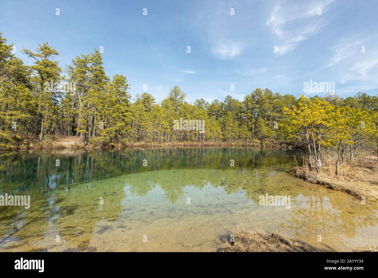 Clear sand pond in the NJ pine barrens Stock Photo - Alamy