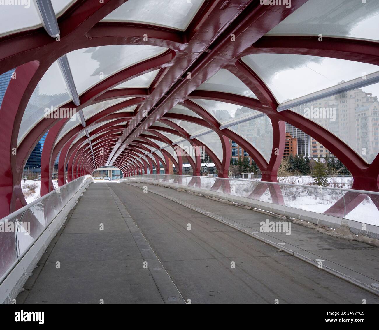 Peace Bridge Calgary Alberta Stock Photo - Alamy