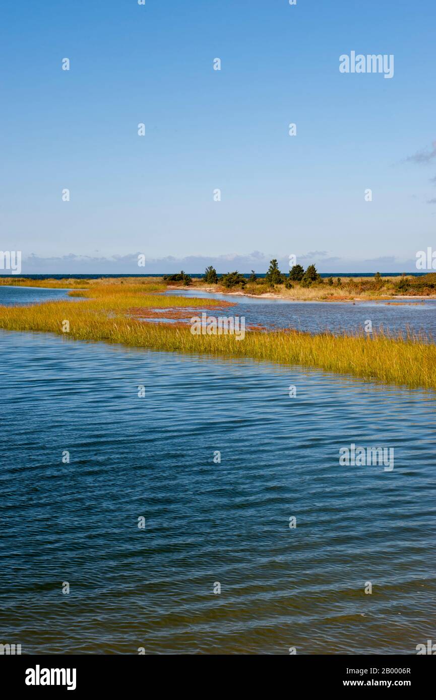 View of the coastline and marshland near in Edgartown on Martha’s ...