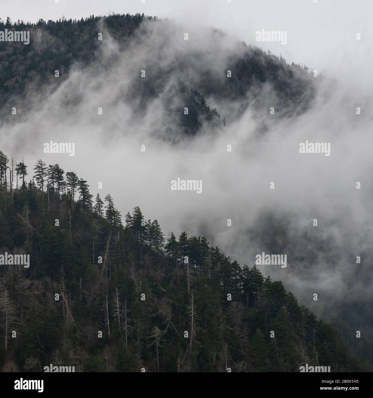 Thick clouds beautiful sky clouds hi-res stock photography and images ...