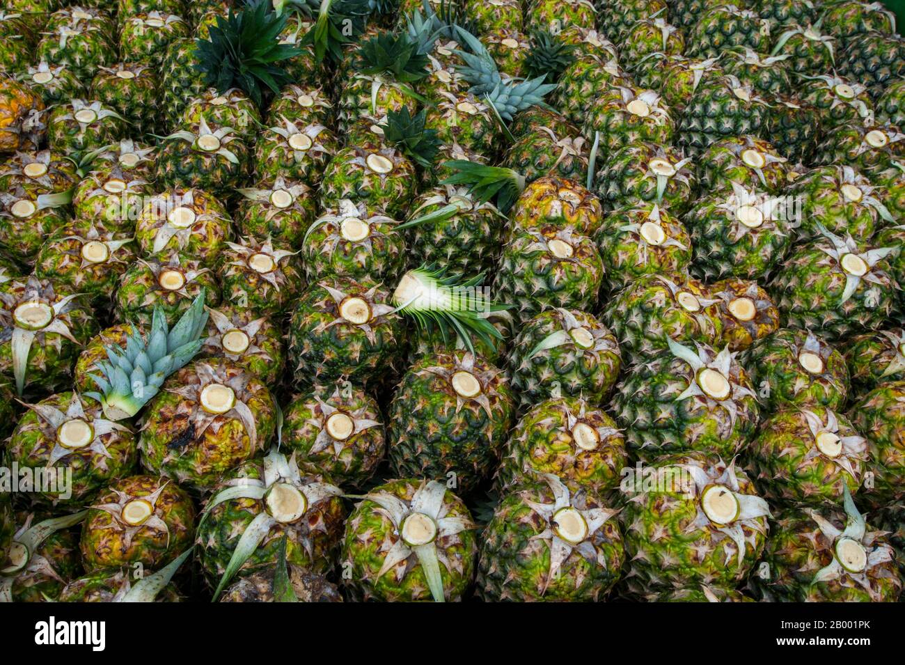 Collin Bakery High Resolution Stock Photography and Images - Alamy