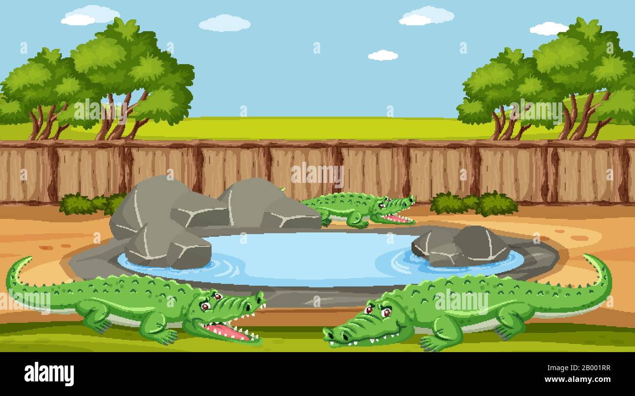 Scene with crocodile by the pond in the zoo illustration Stock Vector ...