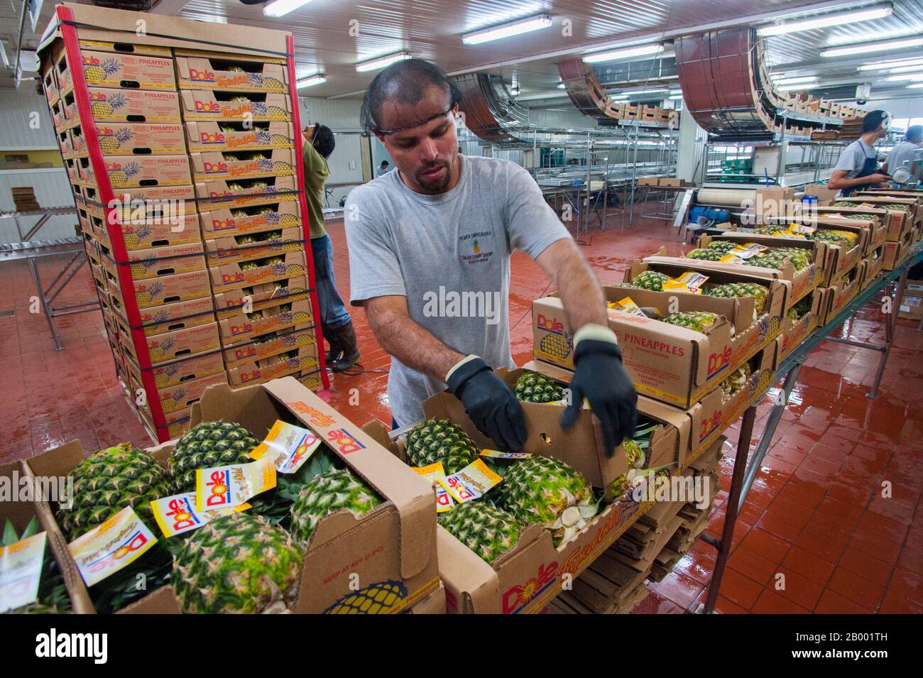 Packaged pineapple hi-res stock photography and images - Alamy