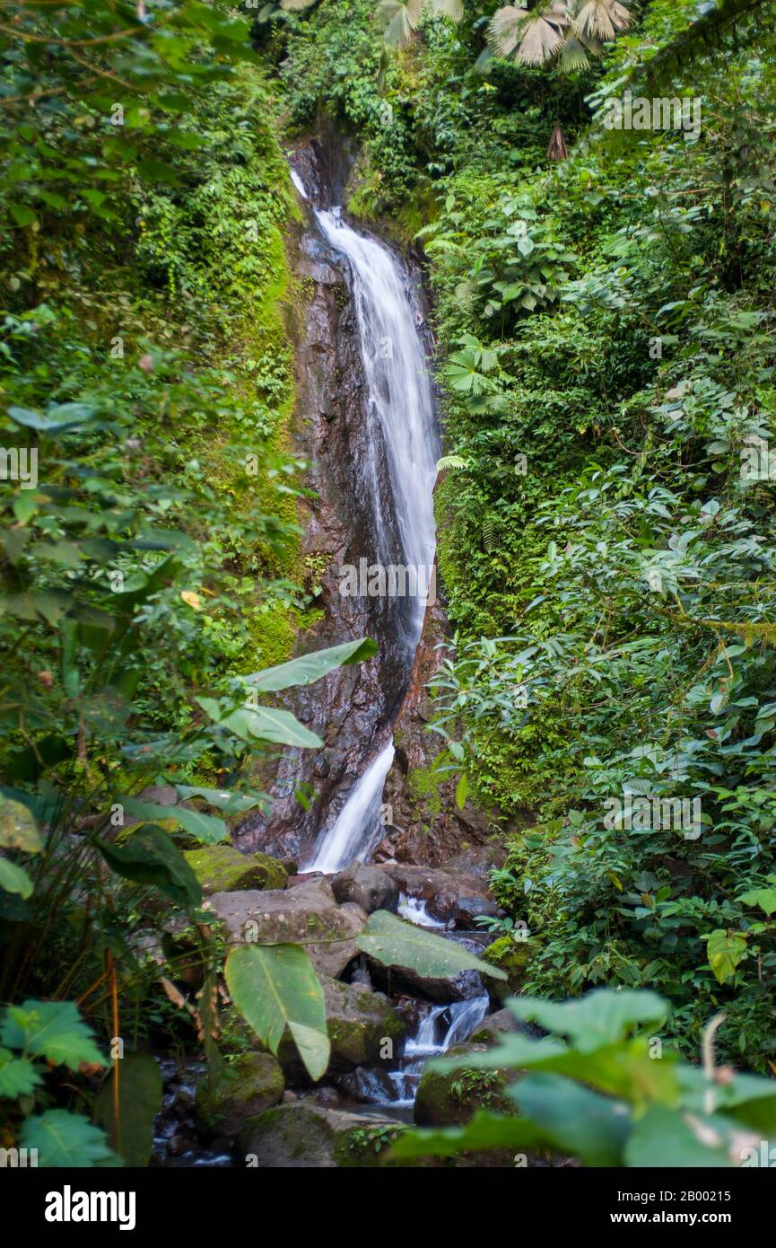 A waterfall in the rainforest near the Arenal Volcano in Costa Rica ...