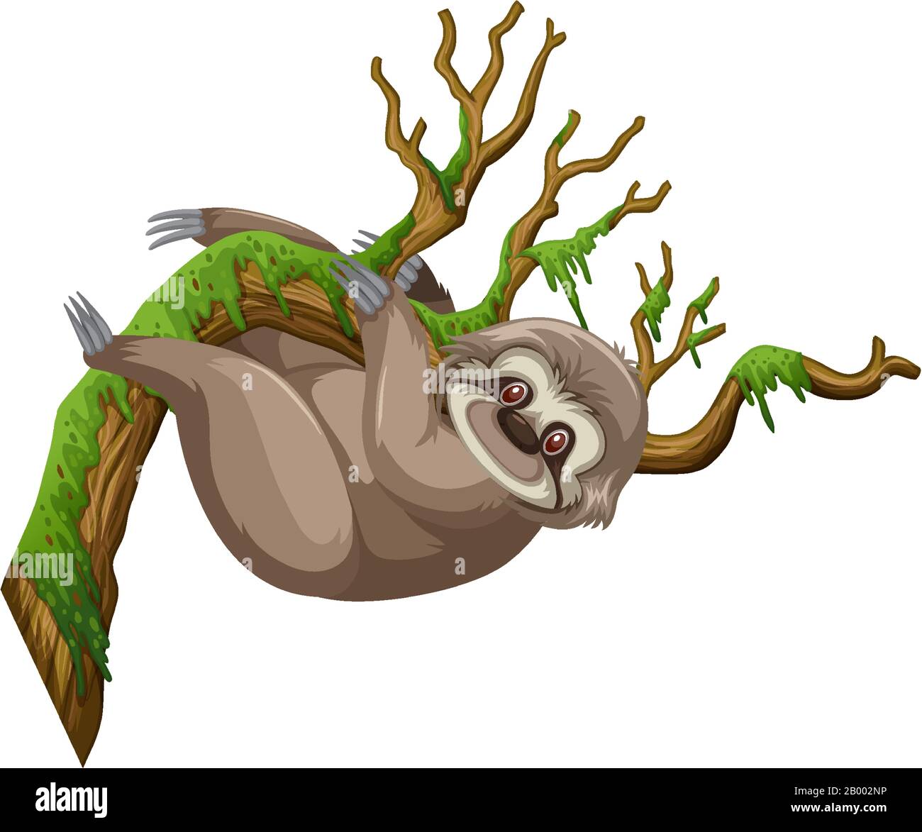 Happy sloth hanging on the branch on white background illustration ...