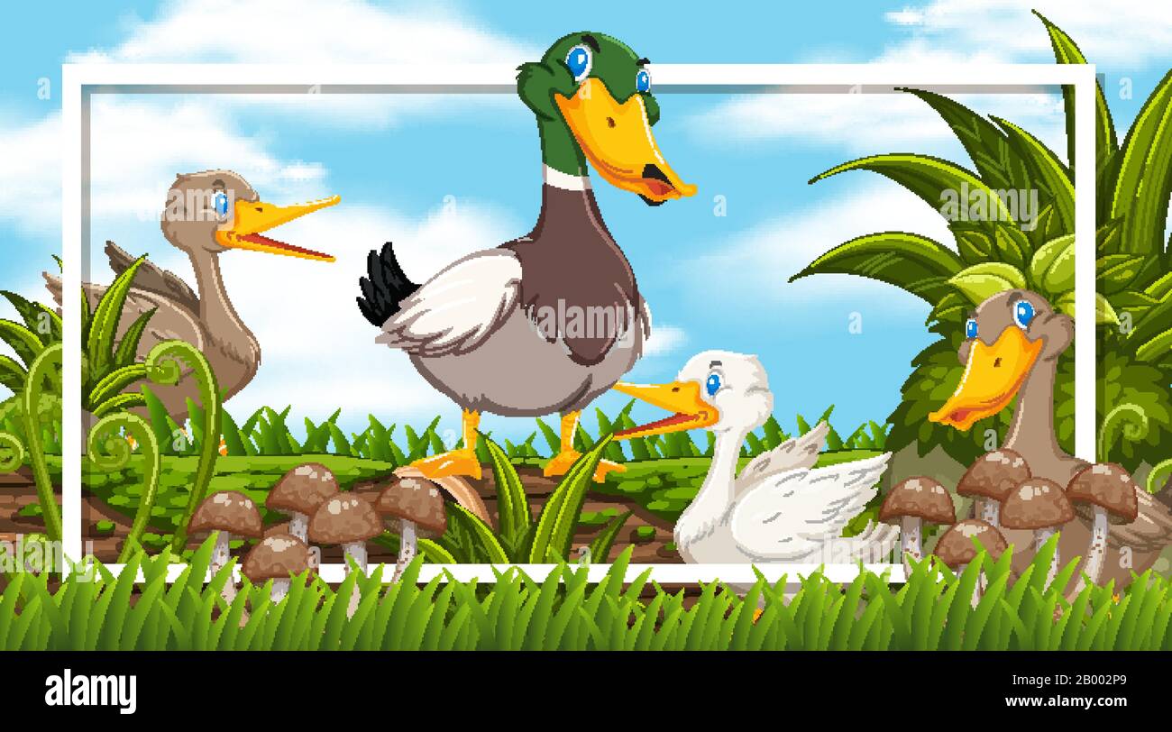 Frame design with ducks in the woods background illustration Stock ...