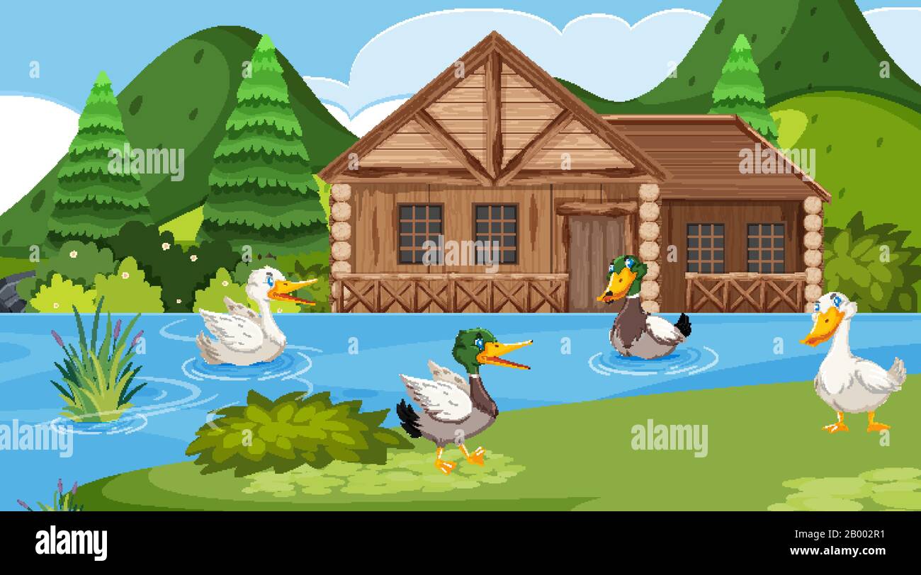 Scene with wooden cottage in the field and many ducks in the lake ...