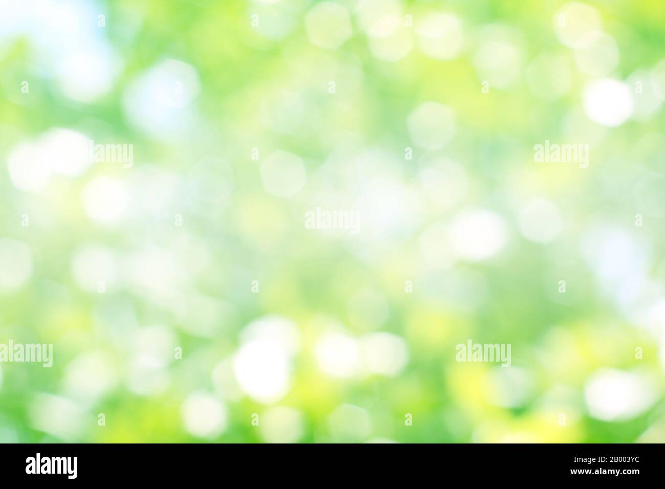 abstract green color nature for background Stock Photo - Alamy