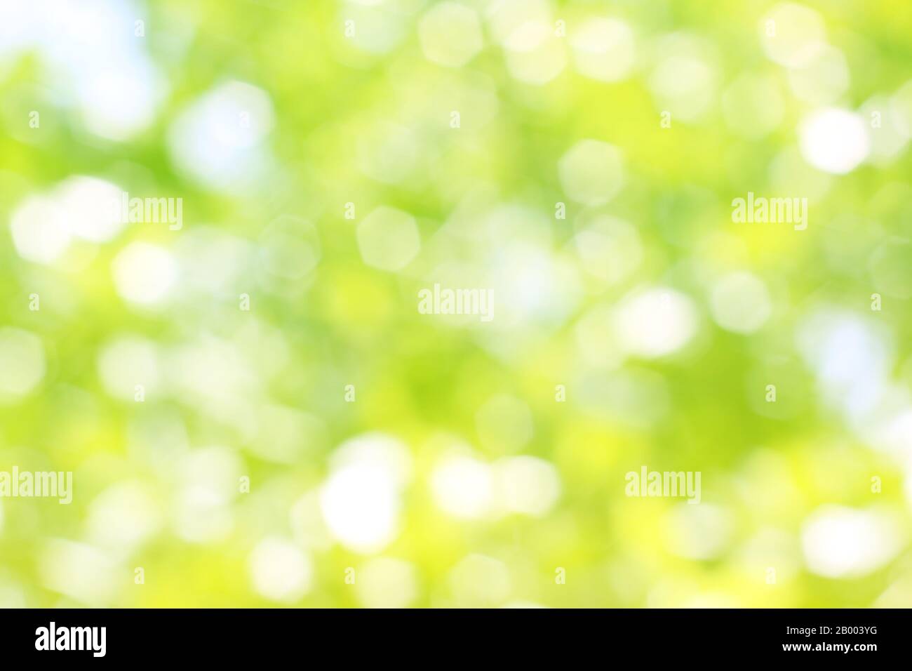 abstract green color nature for background Stock Photo - Alamy