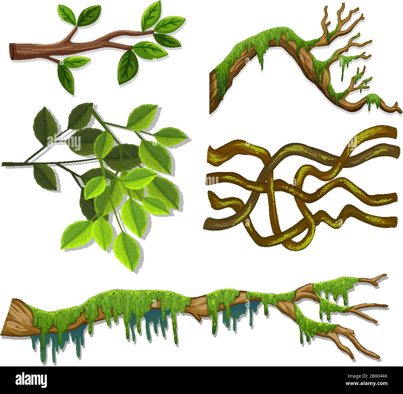 Set of different branches and leaves on white background illustration ...