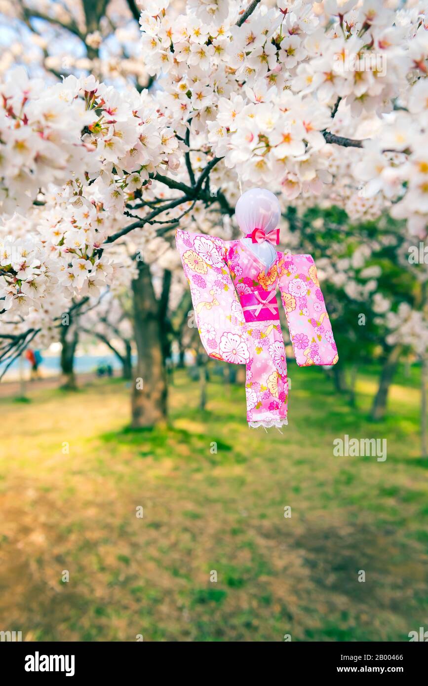 Teru Teru Bozu. Japanese Rain Doll hanging on Sakura tree to pray for ...
