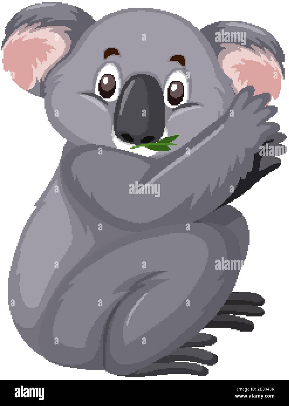 Cute koala eating leaves on white background illustration Stock Vector ...