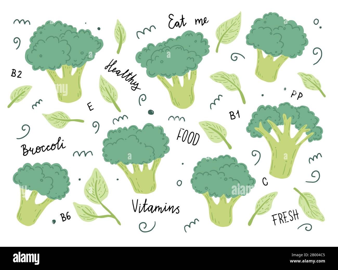 Broccoli vector illustration isolated set. Concept of healthy food ...