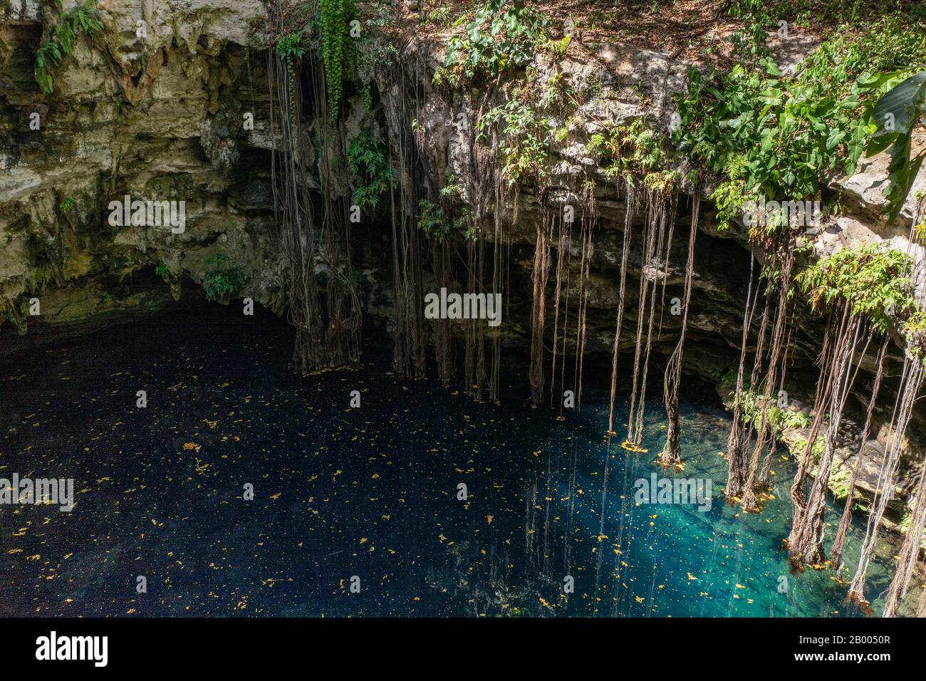 Lol ha cenote hi-res stock photography and images - Alamy