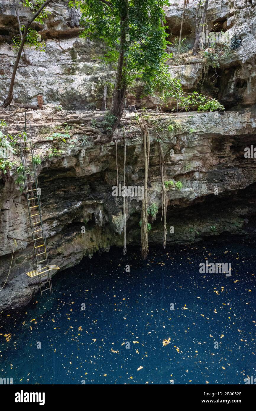 Lol-Ha cenote and swimming pool sinkhole in the Yucatan peninsula ...