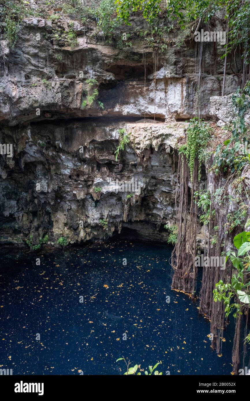 Lol-Ha cenote and swimming pool sinkhole in the Yucatan peninsula ...