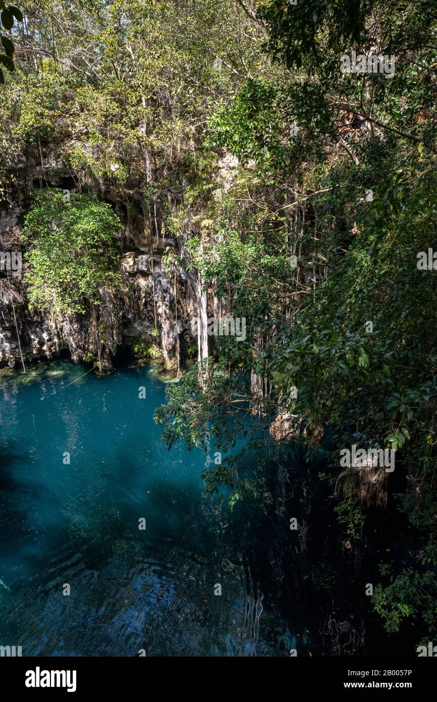 Lol-Ha cenote and swimming pool sinkhole in the Yucatan peninsula ...
