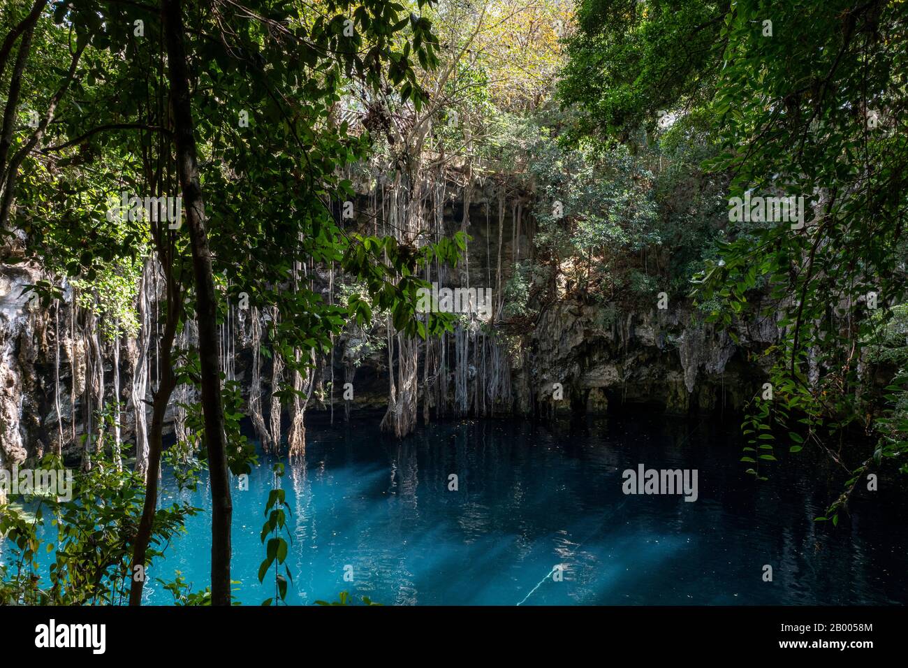 Yokdzonot cenote swimming sinkhole in Yucatan peninsula, Mexico Stock ...