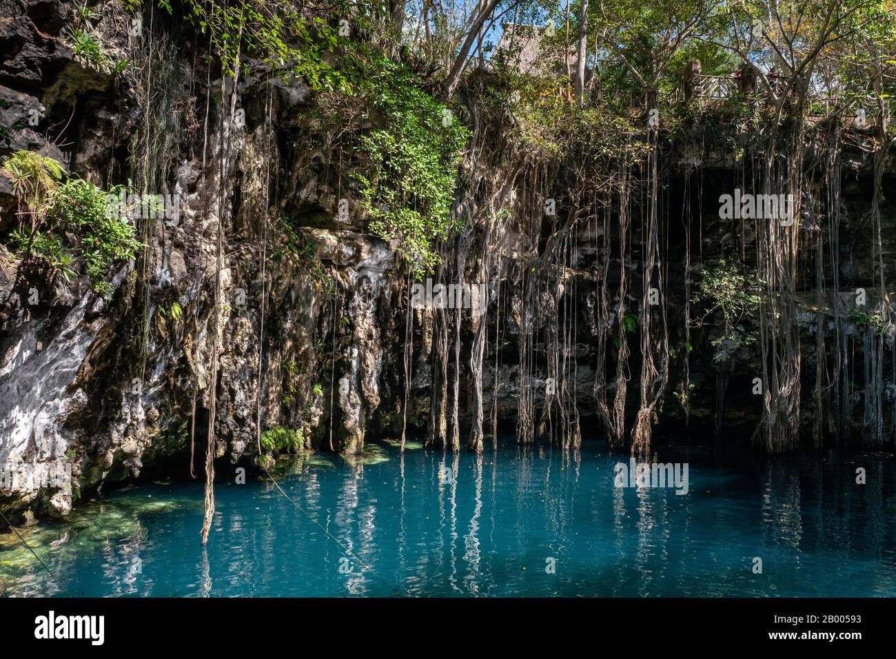 Yokdzonot cenote swimming sinkhole in Yucatan peninsula, Mexico Stock ...
