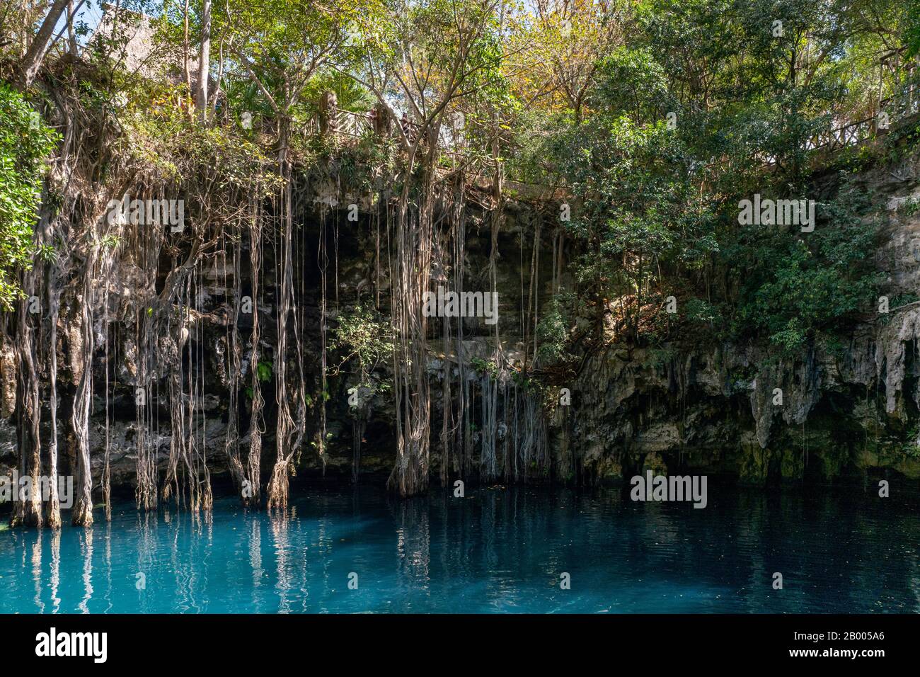 Yokdzonot cenote swimming sinkhole in Yucatan peninsula, Mexico Stock ...