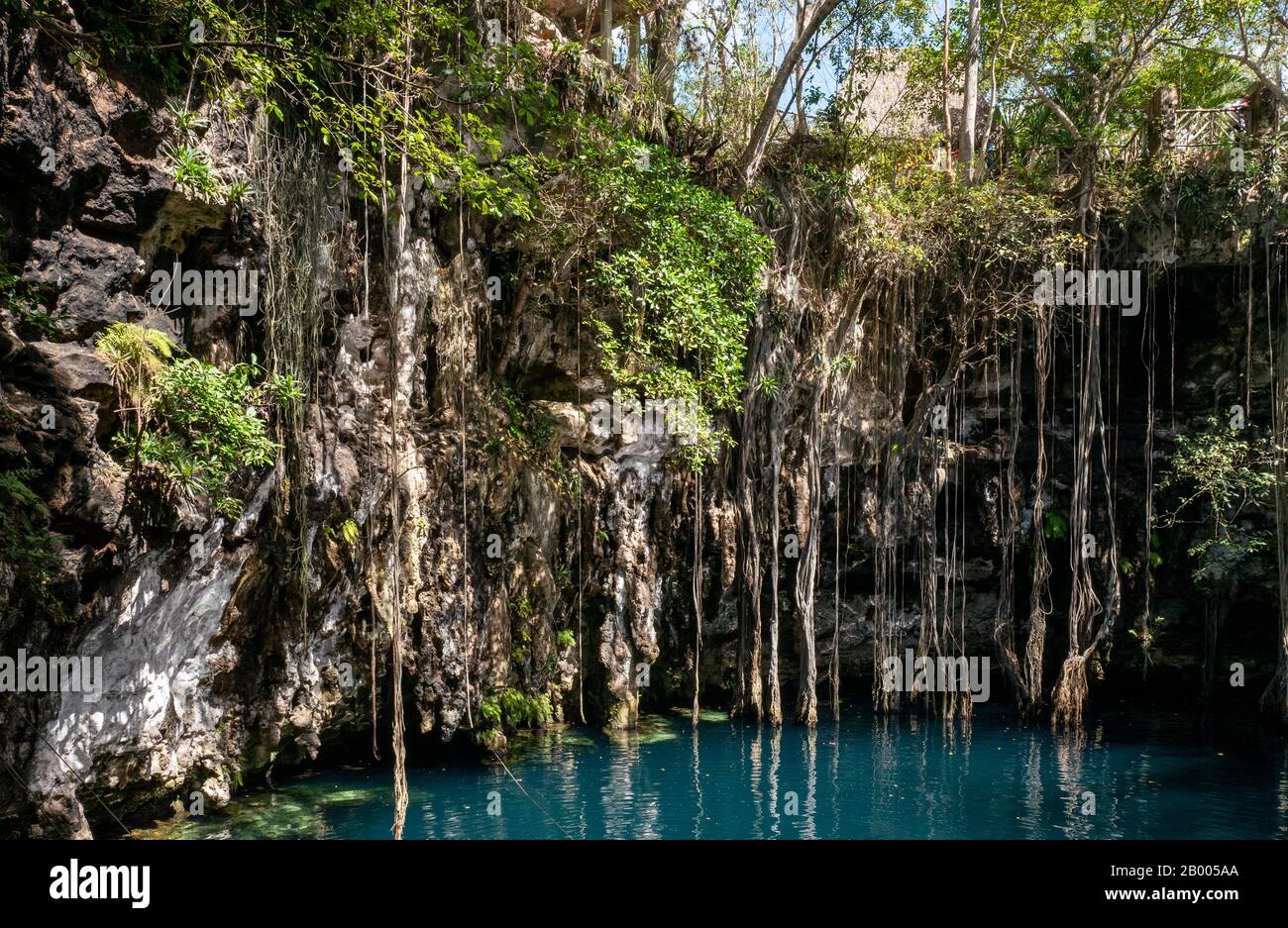 Yokdzonot cenote swimming sinkhole in Yucatan peninsula, Mexico Stock ...