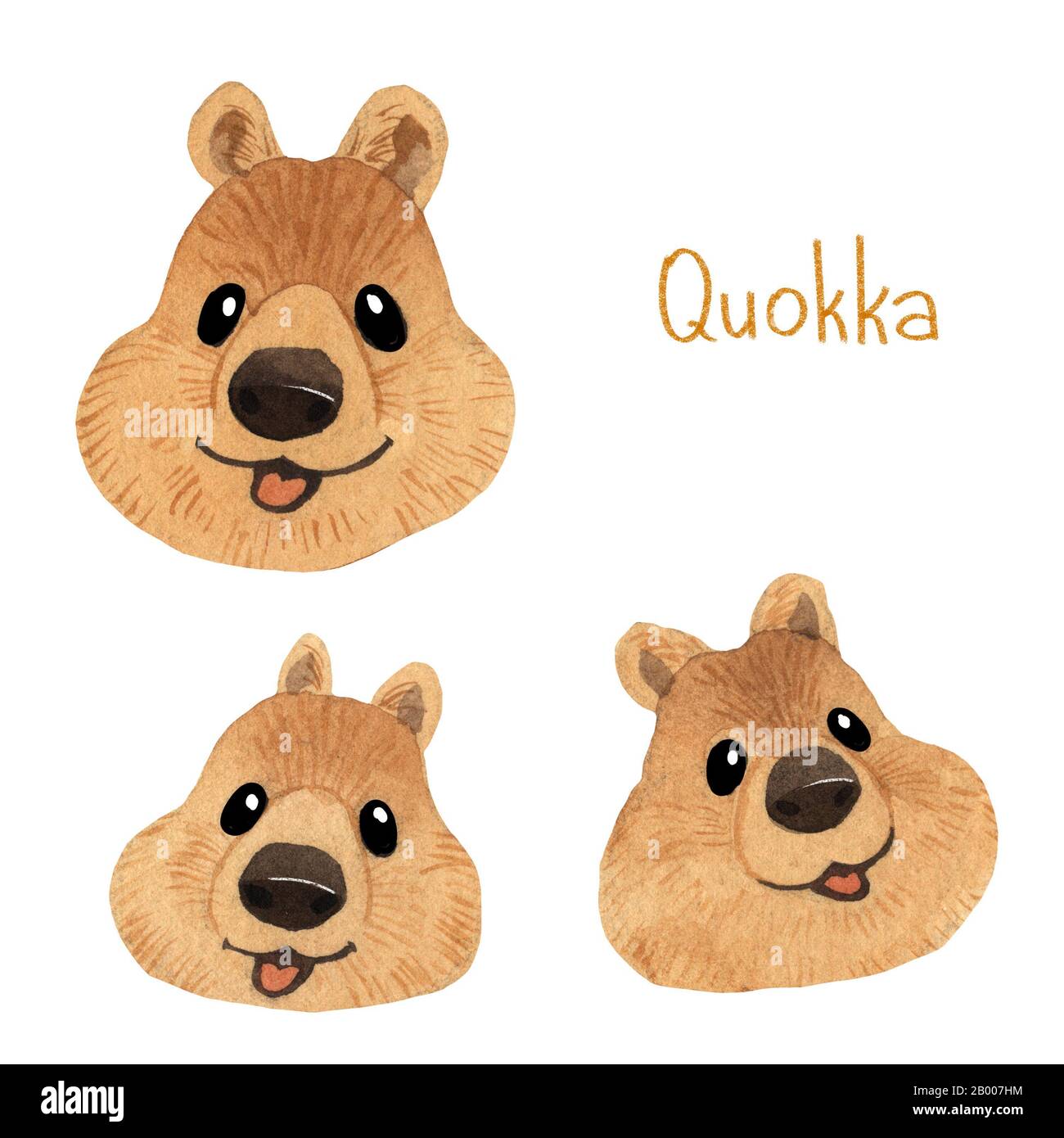 Set of cute hand drawn watercolor art. Smiling australian quokka faces ...