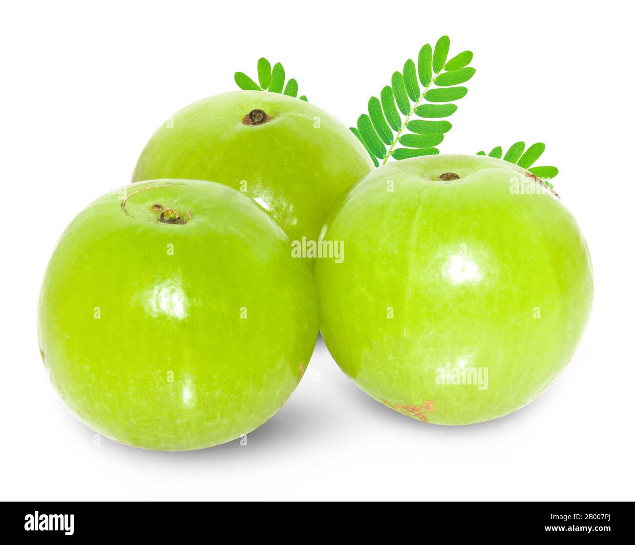 Indian berry Cut Out Stock Images & Pictures - Alamy