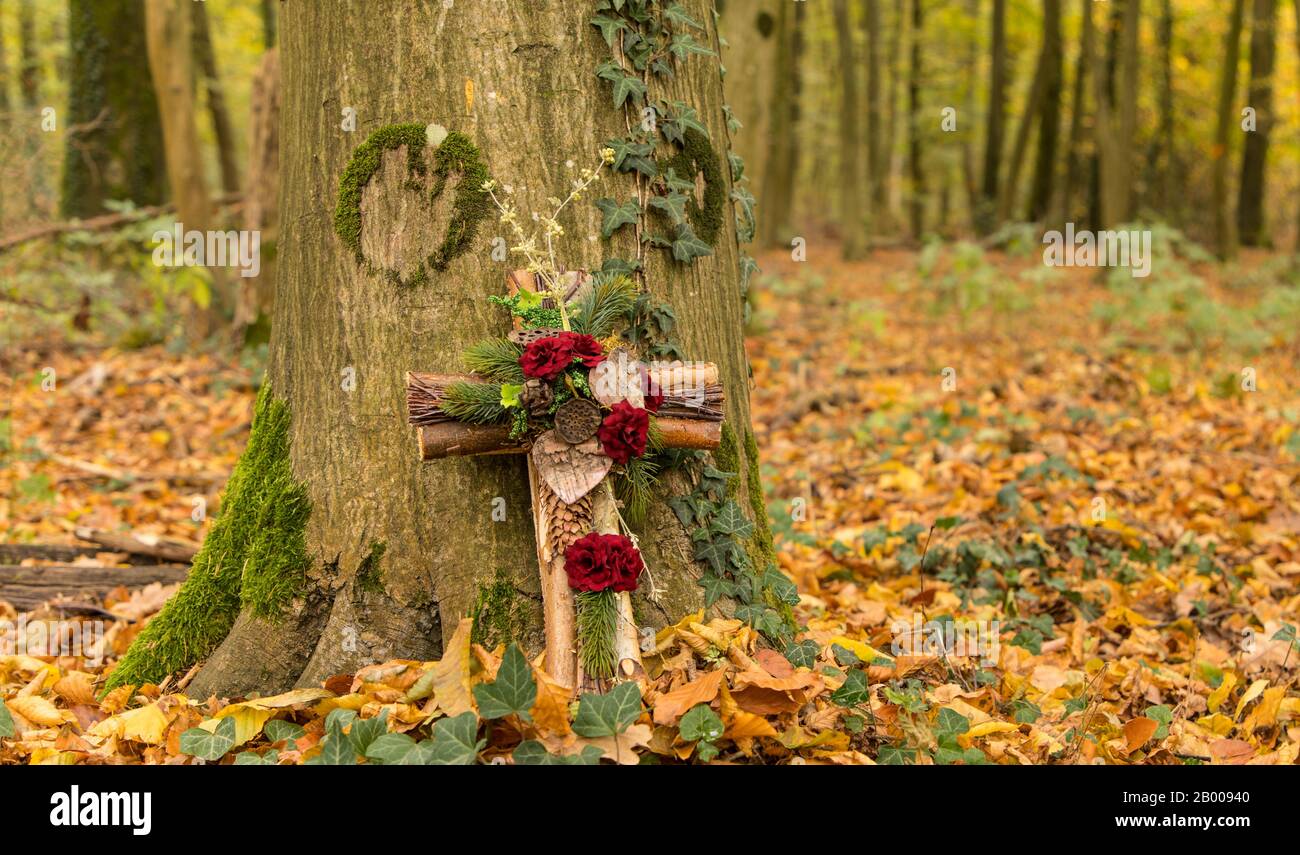 Resting place in nature Stock Photo - Alamy