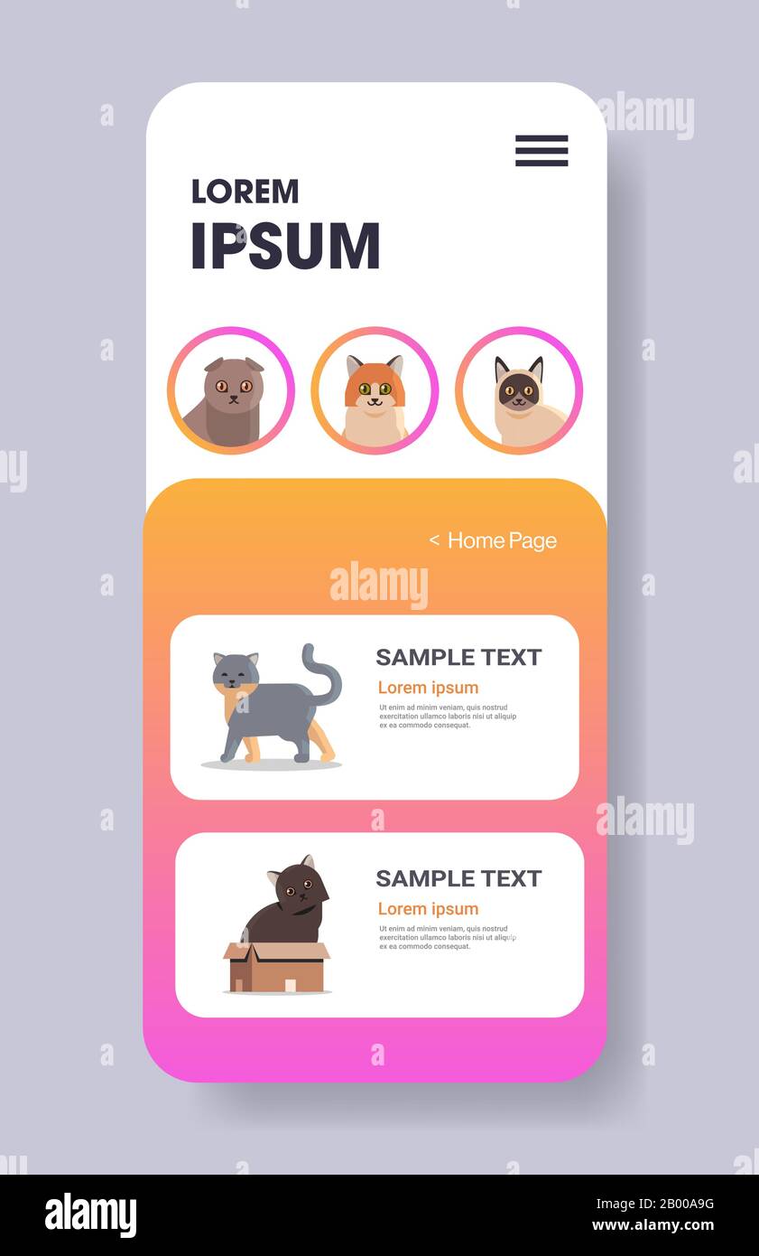 cute cats fluffy adorable cartoon animals domestic kitty home pets ...