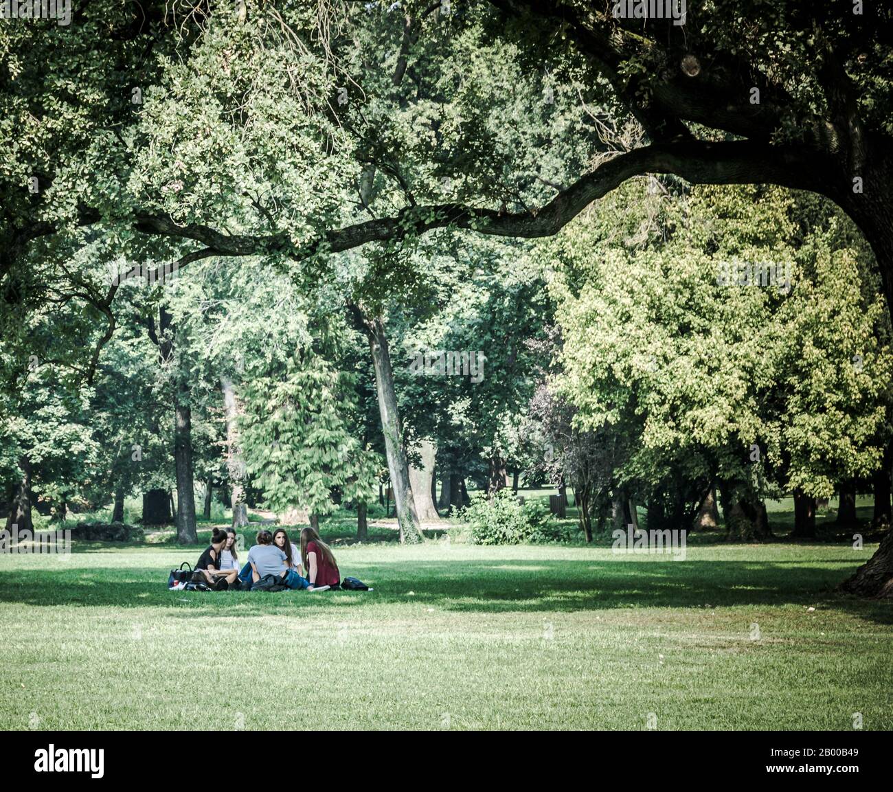 Students studying under tree hi-res stock photography and images - Alamy