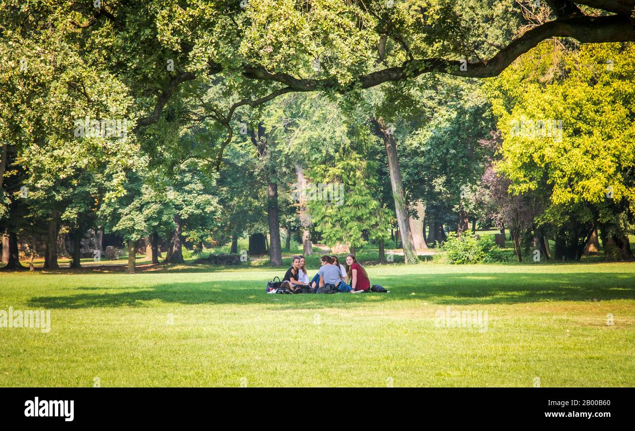 Students studying under tree hi-res stock photography and images - Alamy