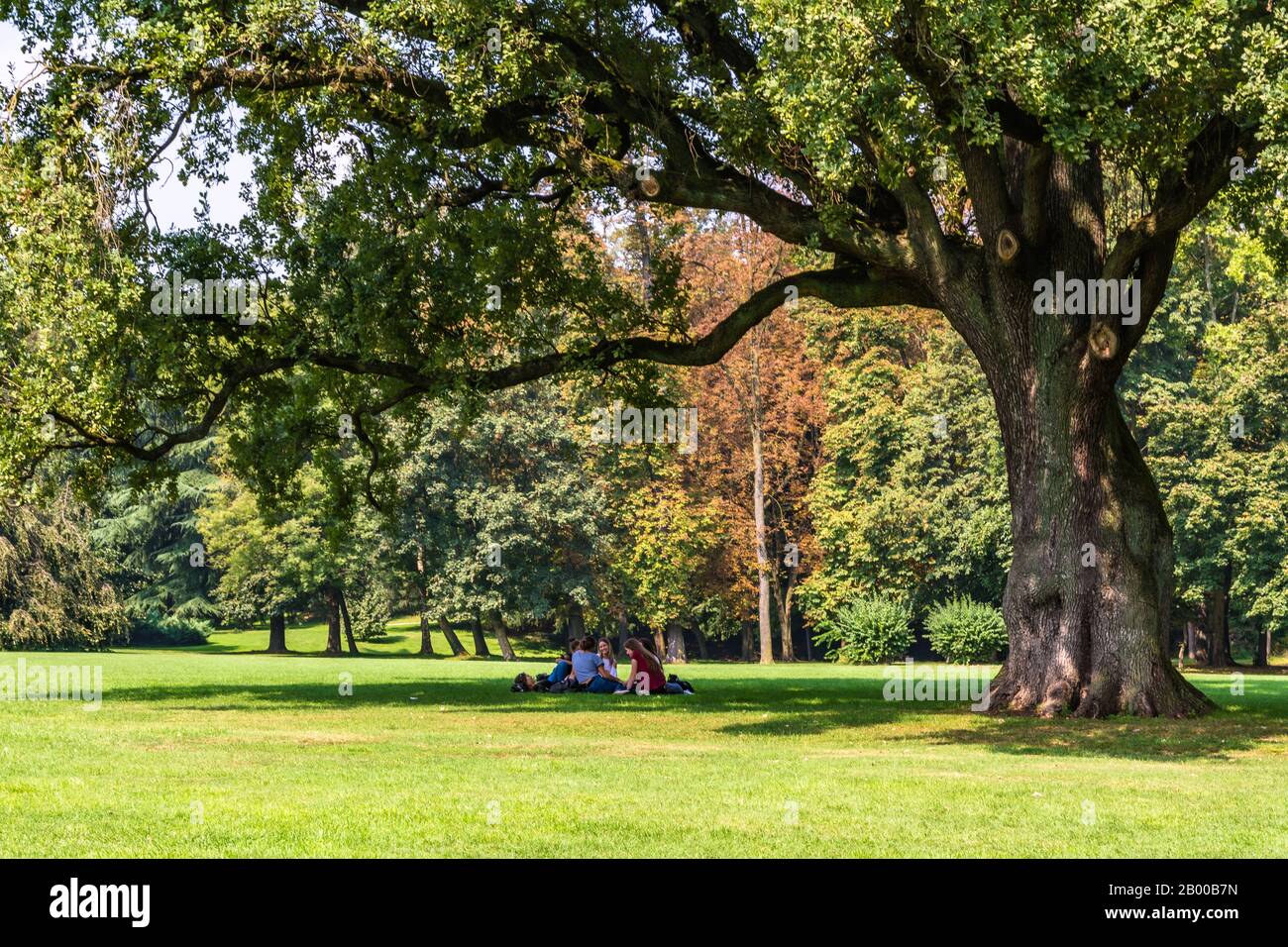 Students studying under tree hi-res stock photography and images - Alamy