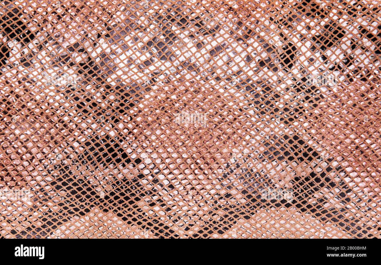 Snake skin pattern, natural background, top view Stock Photo - Alamy