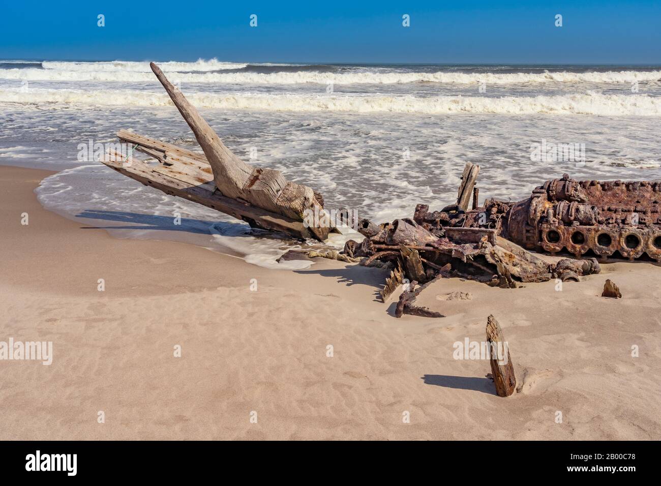 Dunedin star skeleton hi-res stock photography and images - Alamy