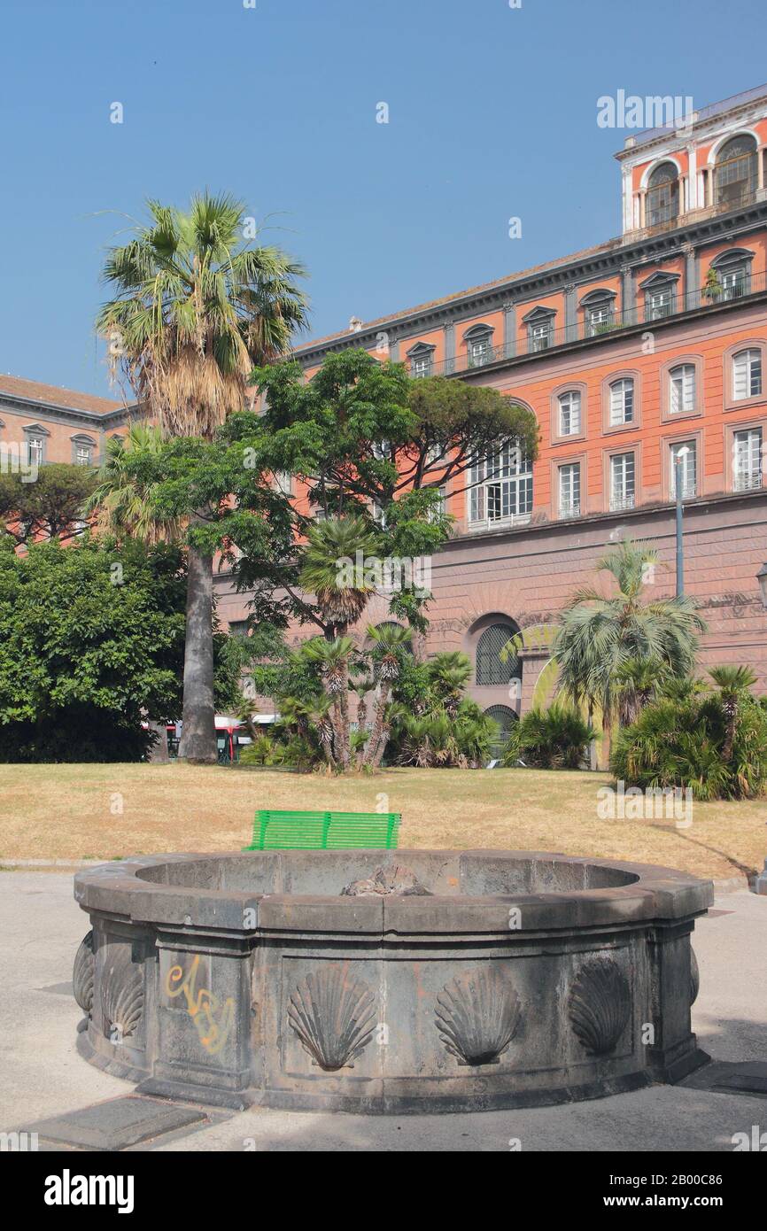 Seashell sculptures hi-res stock photography and images - Alamy